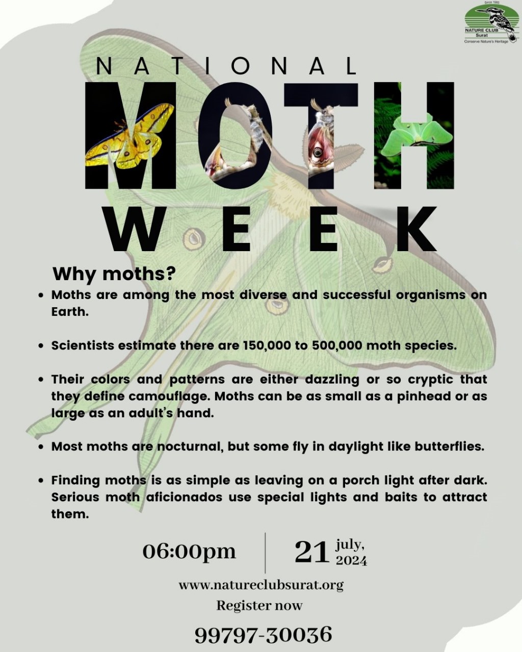 National Moth Week – July 24 – Nature Club Surat