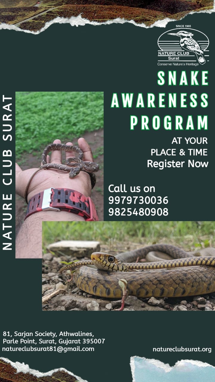 Snake Awareness & Touch & Feel Program – Nature Club Surat