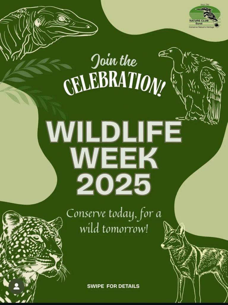 Wildlife Week 2025 Celebration – Nature Club Surat